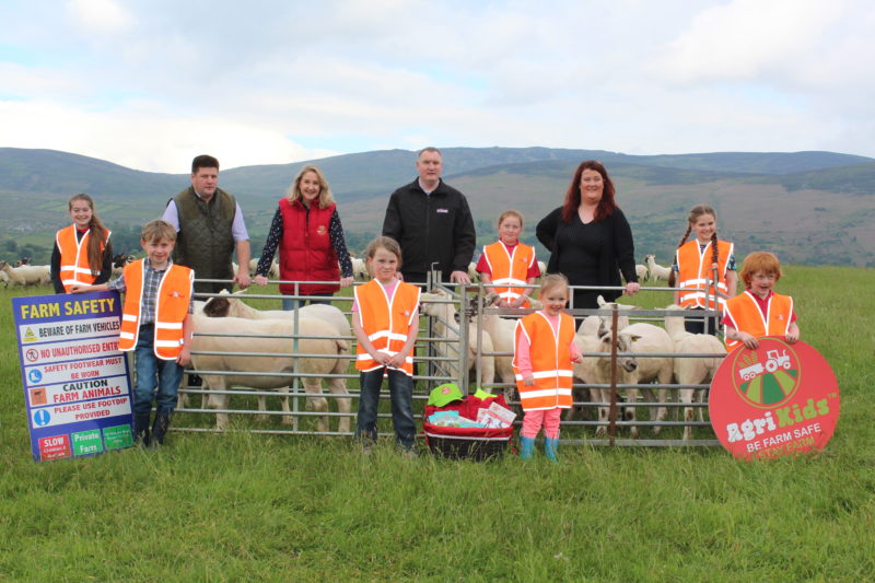 2019 All Ireland Launch - Irish Texel