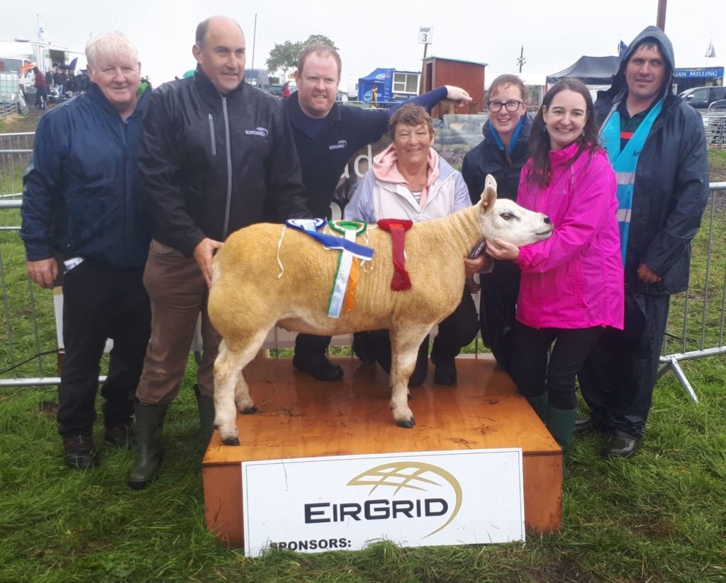 North Connacht 2019 Roundup... - Irish Texel